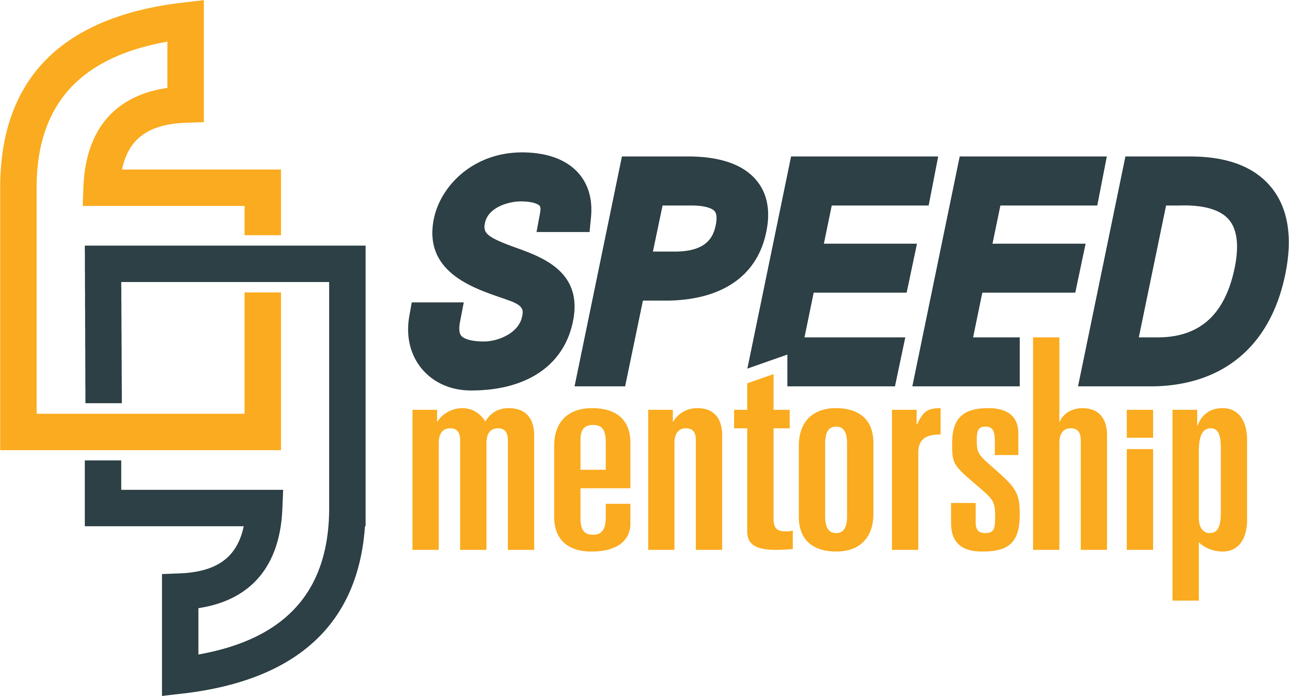 Speed Mentorship Speed Mentorship